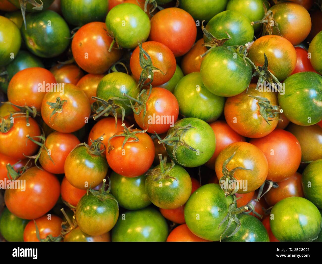 Camone tomato hi-res stock photography and images - Alamy