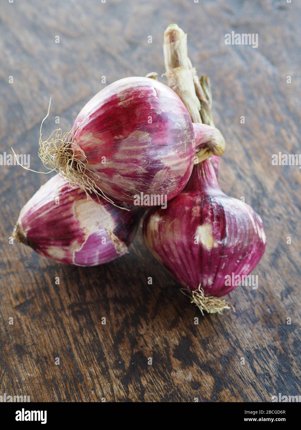Tropea onions italy hi-res stock photography and images - Alamy