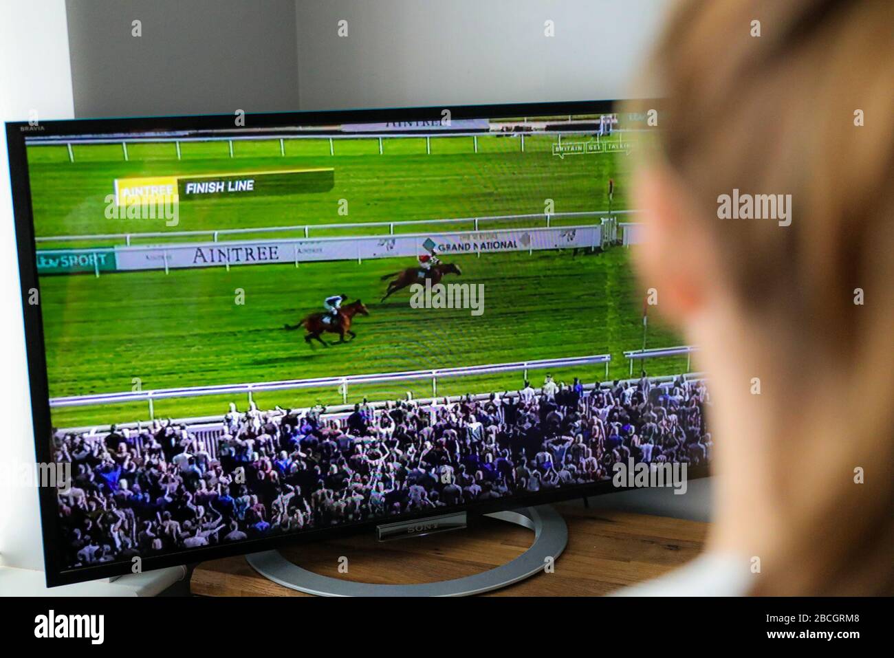 The virtual grand national hi-res stock photography and images - Alamy