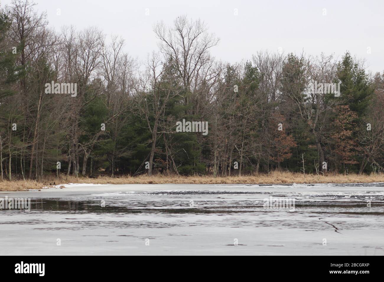 Necedah Wildlife Refuge Stock Photo - Alamy
