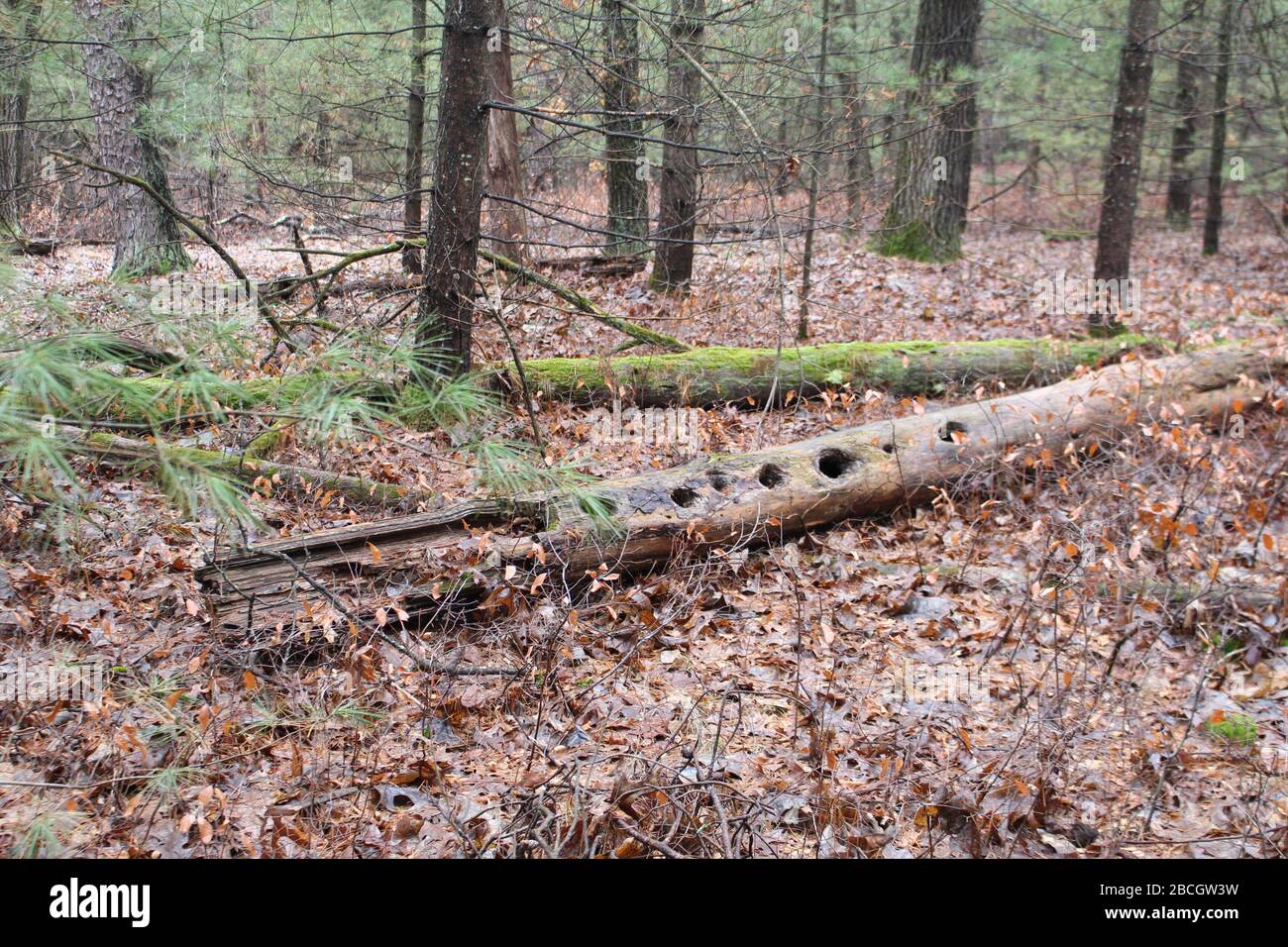Mill bluff state park hi-res stock photography and images - Alamy