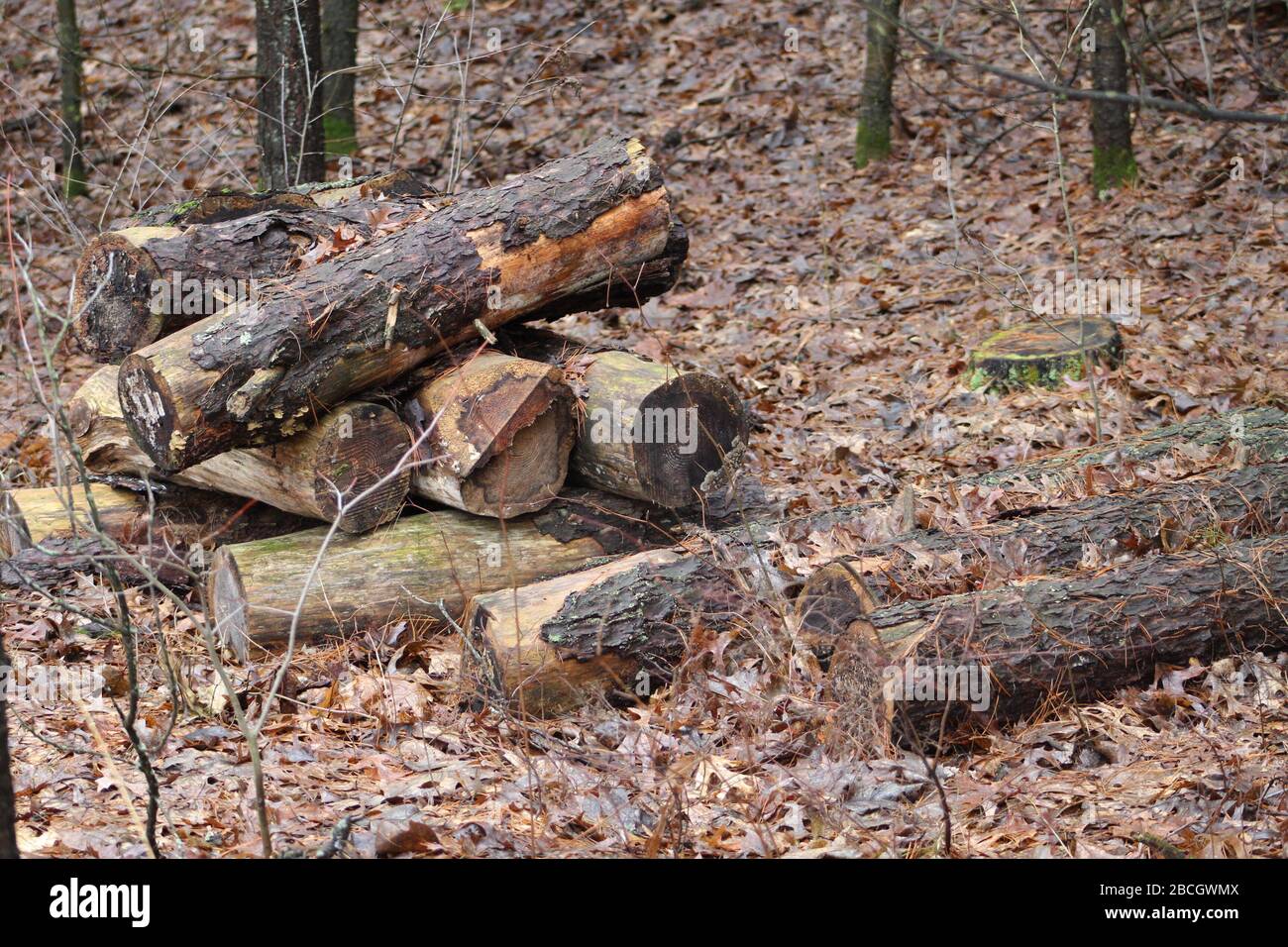 Mill bluff state park hi-res stock photography and images - Alamy