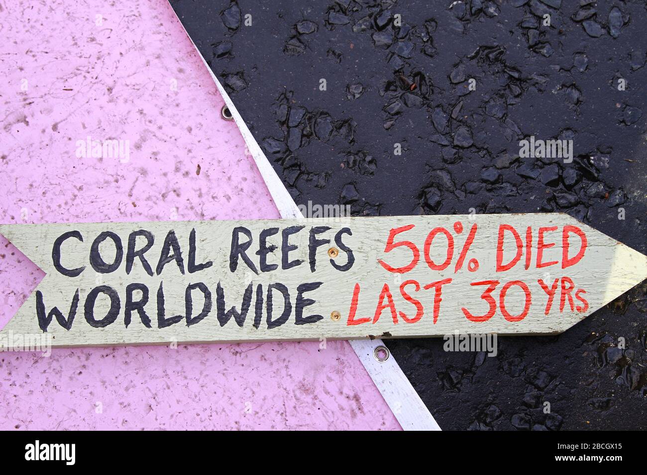 SIGN LAYING ON A ROAD IN CENTRAL ONDON STATING CORAL REEFS 50% DIED ...