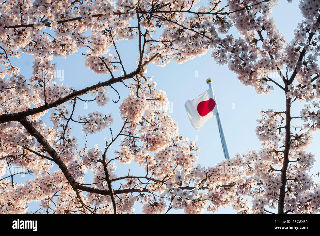 Wonderful flag hi-res stock photography and images - Alamy