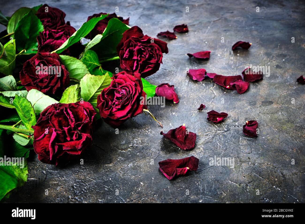 Bouquet of faded red roses with dead petals on the floor Stock Photo ...