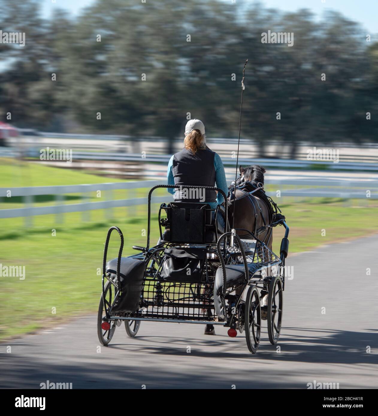 Woman cart driving horse whip hi-res stock photography and images - Alamy