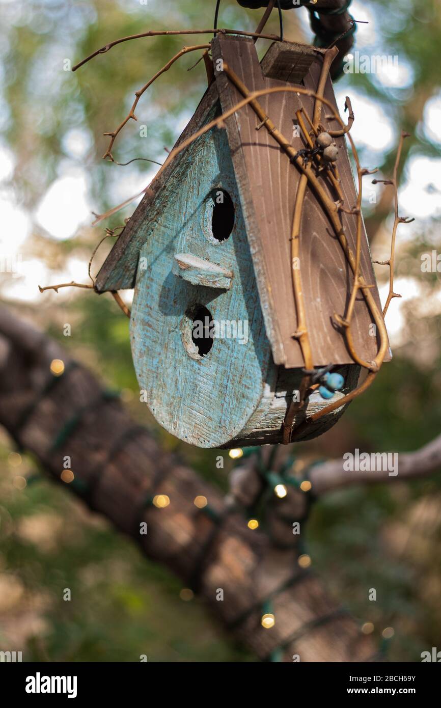 Blue birdhouse in a tree, twinkle lights Stock Photo - Alamy
