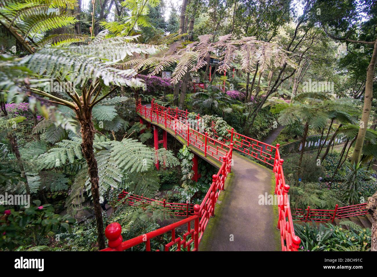 art and culture in the Jardim Tropical or Tropical Garden in the city ...