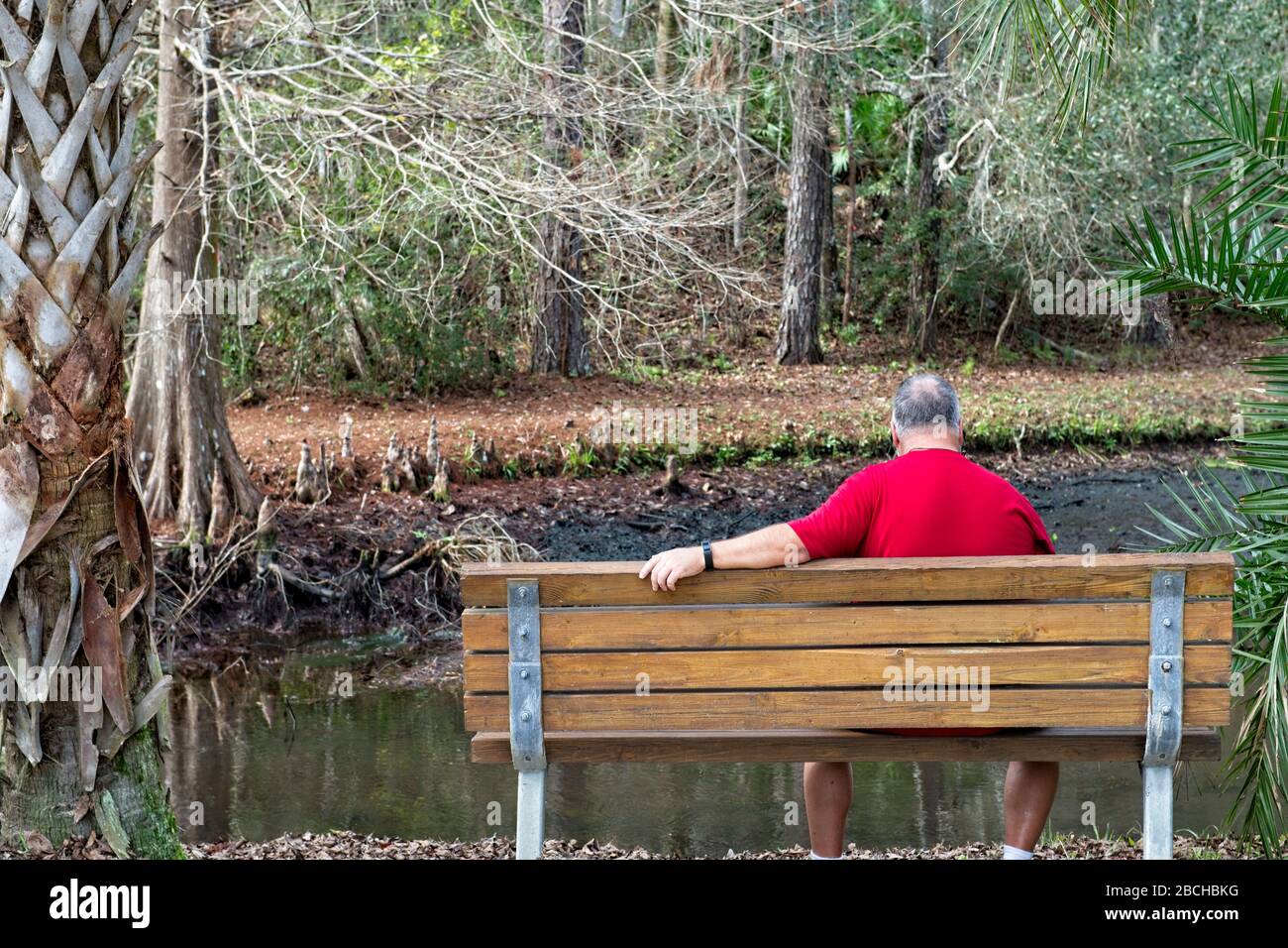 Man sitting on a bench overlooking the park at Ravine Gardens State ...