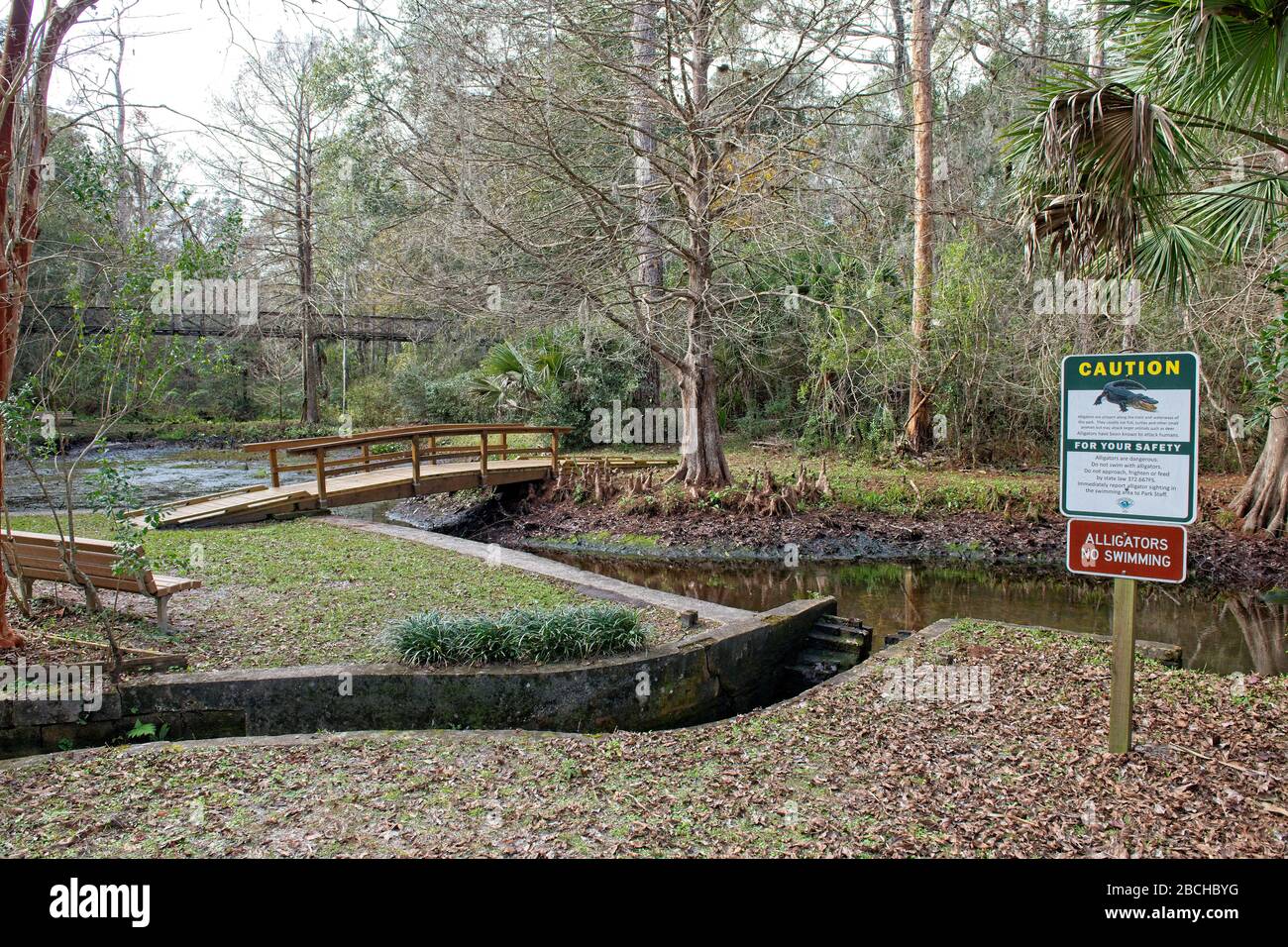 Bridges and walkways over the ravine at Ravine Gardens State Park in ...