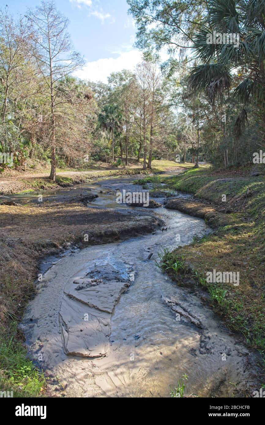 Water flowing through a ravine at Ravine Gardens State Park in Palate ...