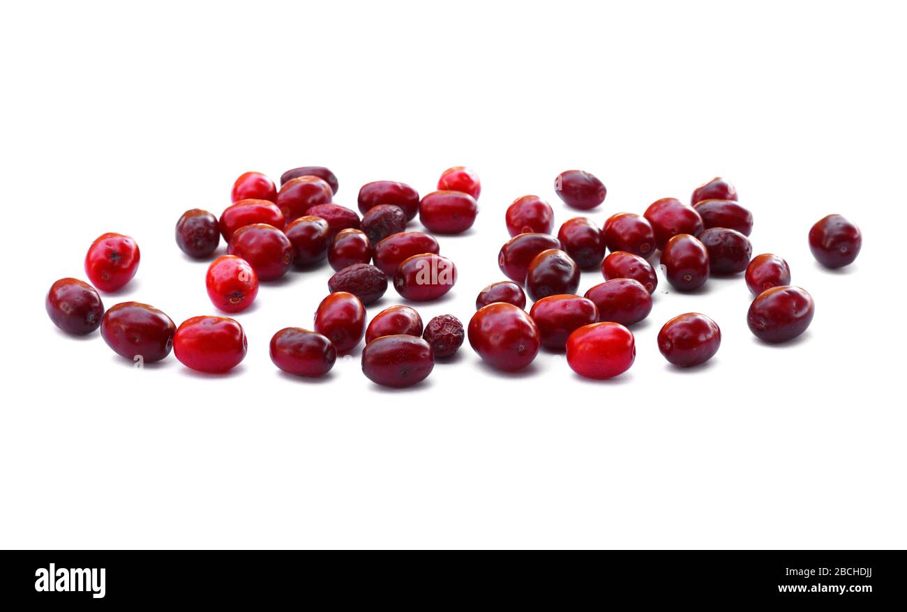 Ripe fruits of Cornelian cherries (Cornus mas) - isolated against a ...