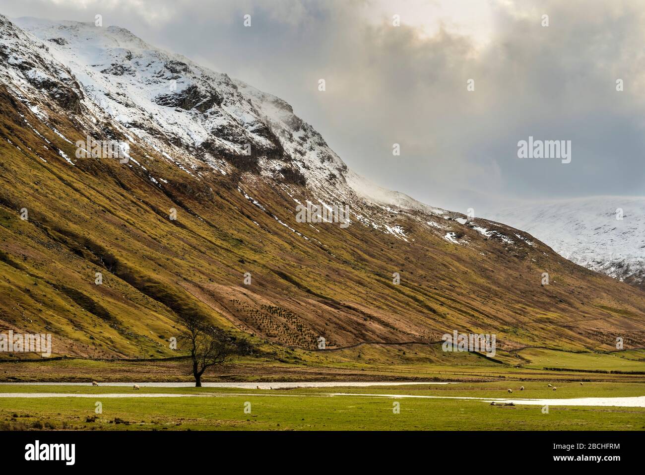 Typical Scottish panorama view, mountains, Highlands, Scotland Stock ...