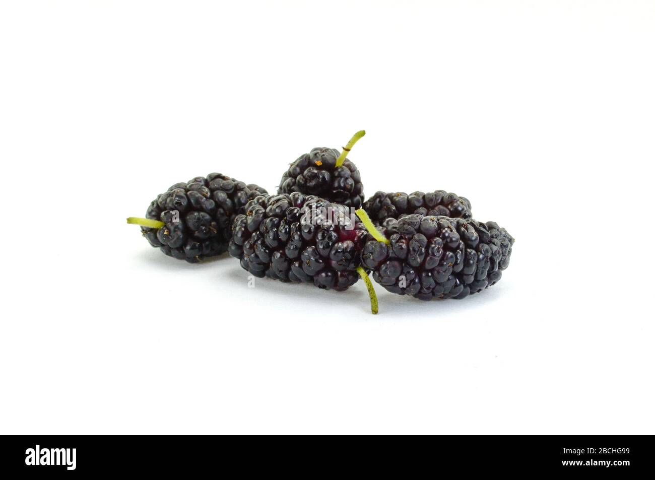 Ripe mulberries background. Mulberry - Morus - healthy fruit close up ...