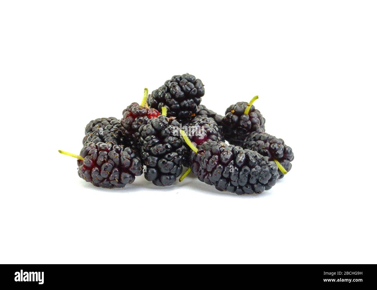 Ripe mulberries background. Mulberry - Morus - healthy fruit close up ...