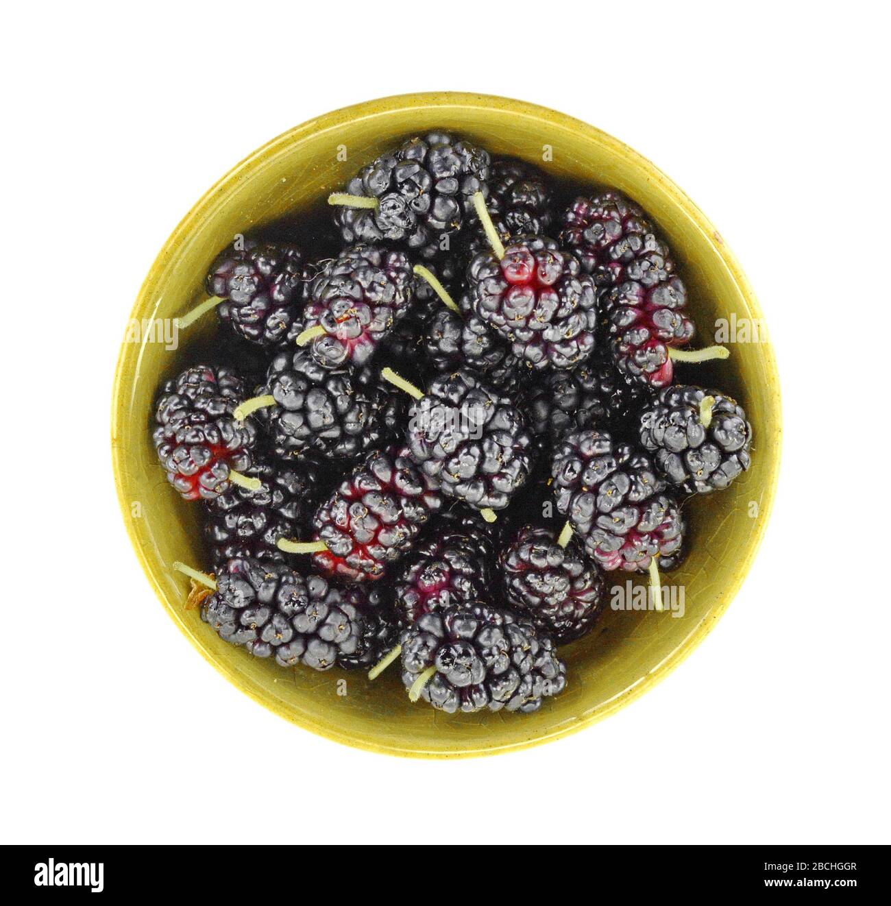 Ripe mulberries background. Mulberry - Morus - healthy fruit close up ...