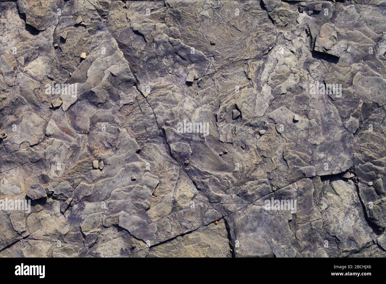 Part rock macro natural hi-res stock photography and images - Alamy