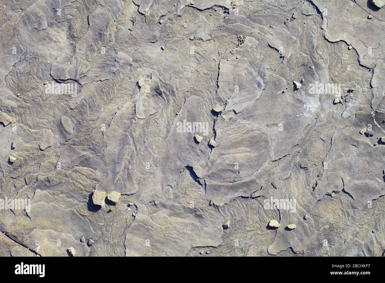 Part rock macro natural hi-res stock photography and images - Alamy