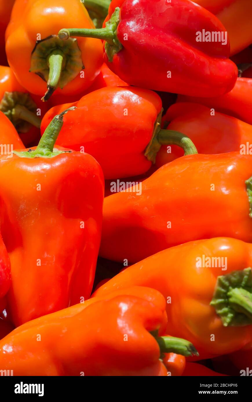 Multiple peppers hi-res stock photography and images - Alamy