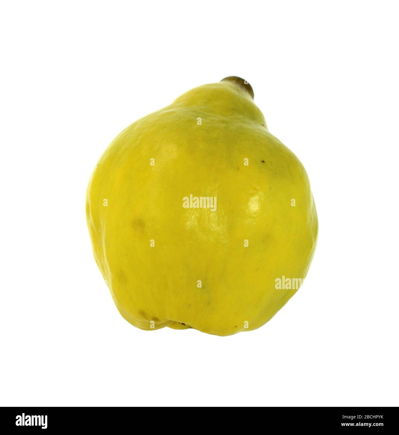 quince isolated on the white background Stock Photo - Alamy