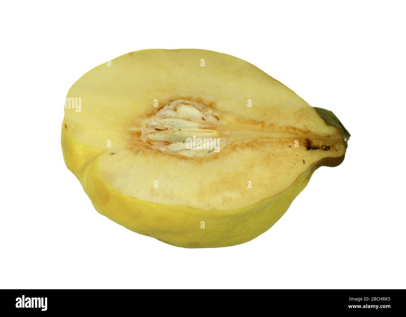 quince isolated on the white background.The quince cut in half Stock ...