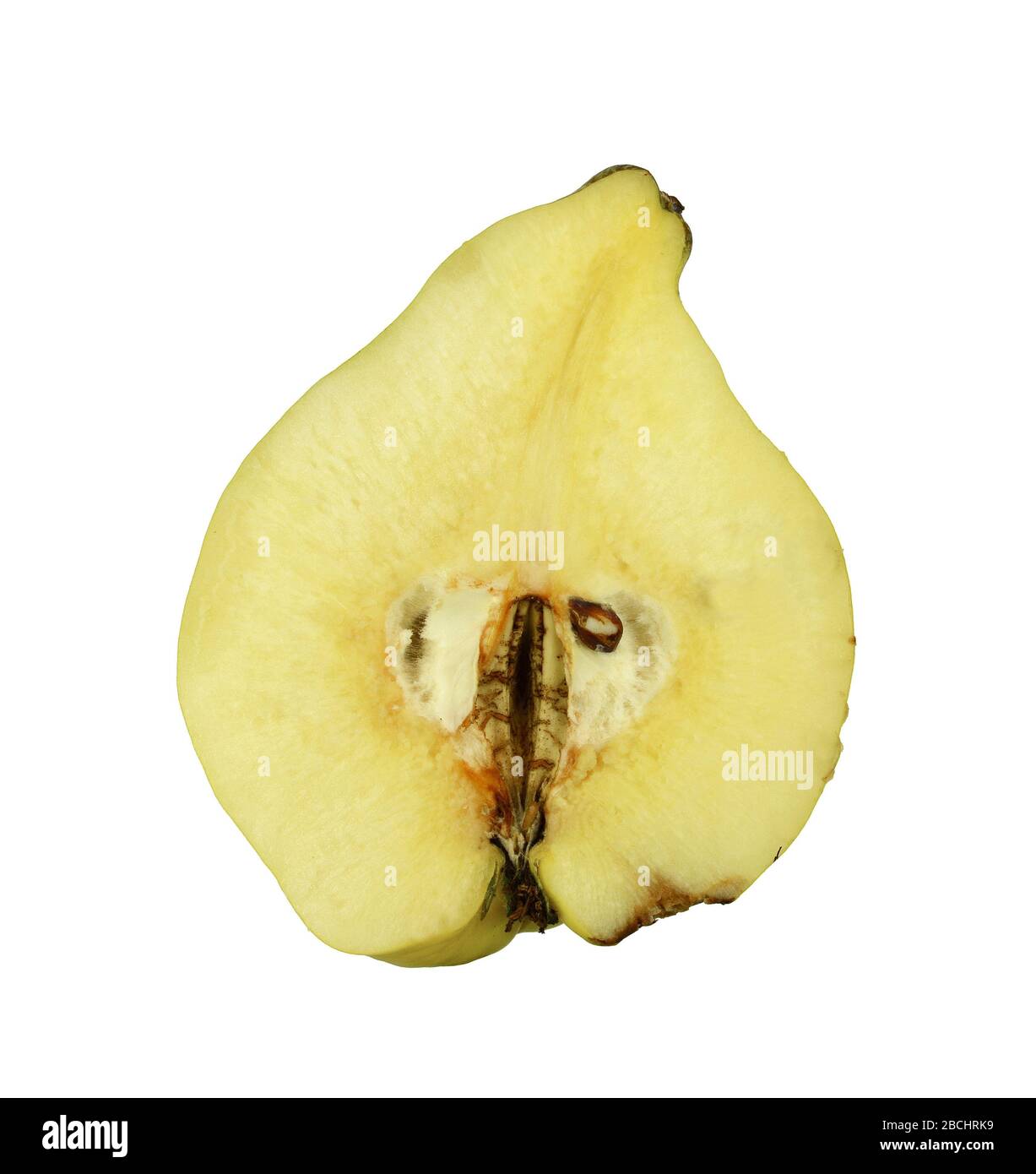 quince isolated on the white background.The quince cut in half Stock ...