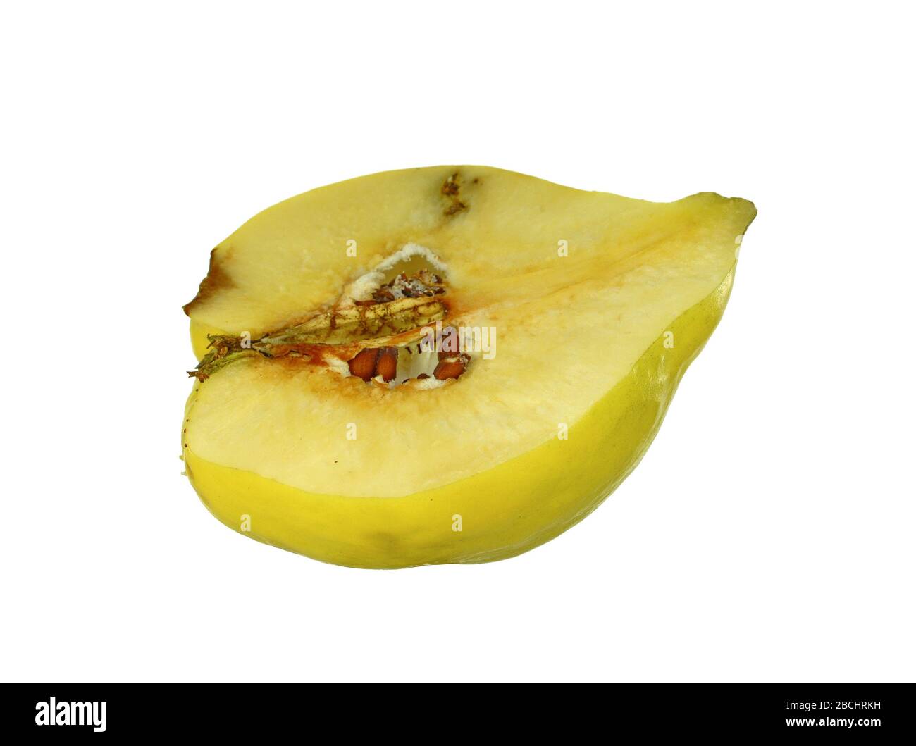 quince isolated on the white background.The quince cut in half Stock ...