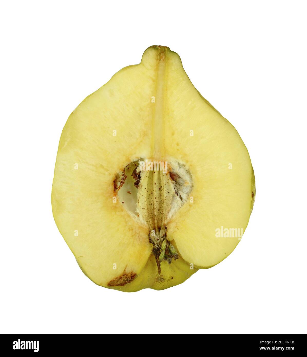 quince isolated on the white background.The quince cut in half Stock ...