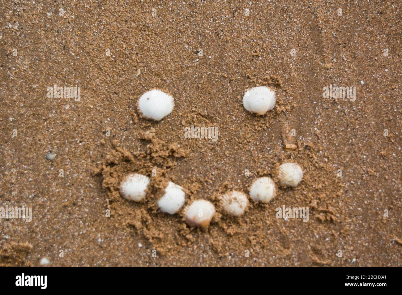 An experimental piece of artwork involving placing shells in the shape ...