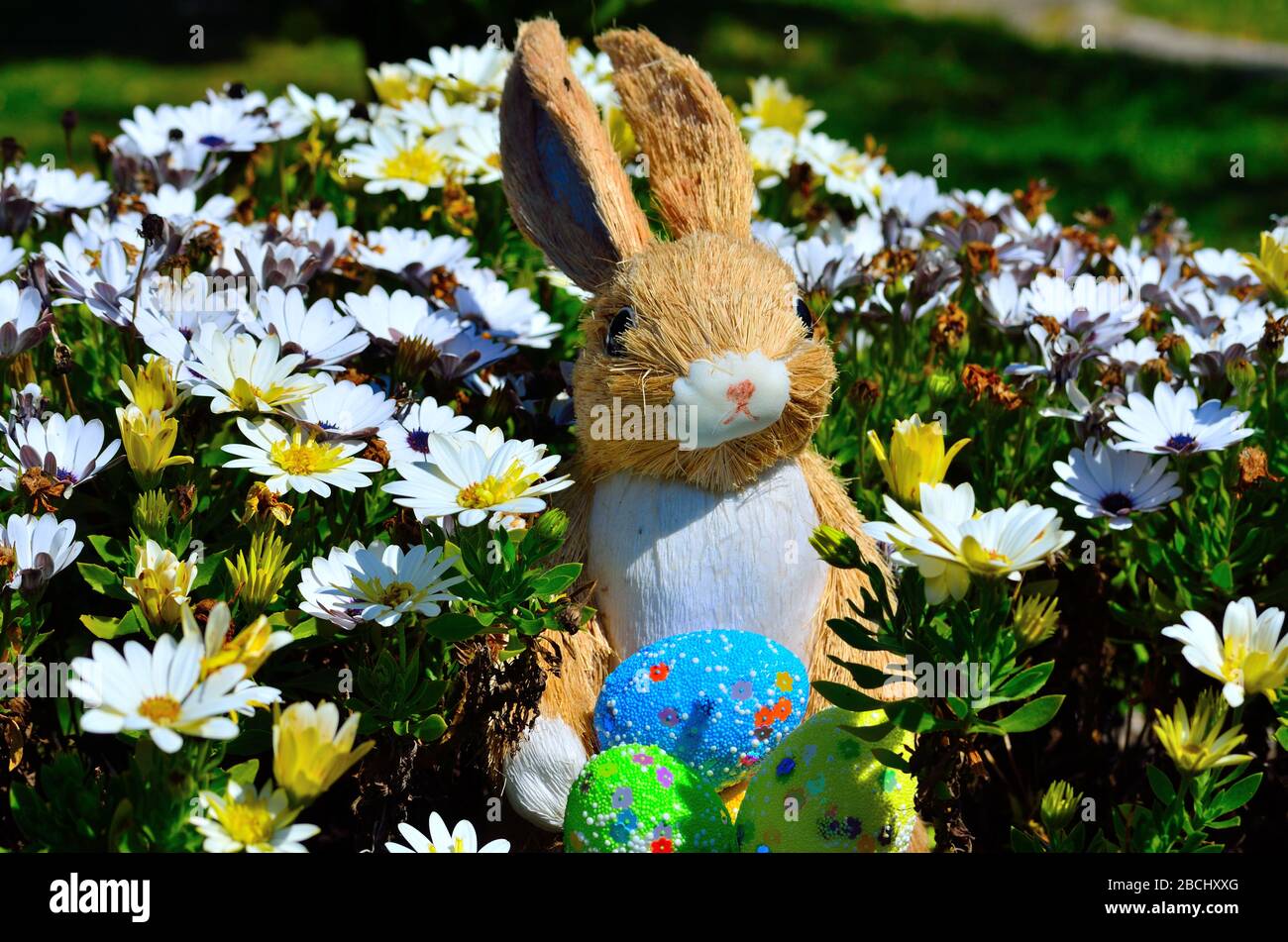 Easter bunny with Easter eggs Stock Photo - Alamy