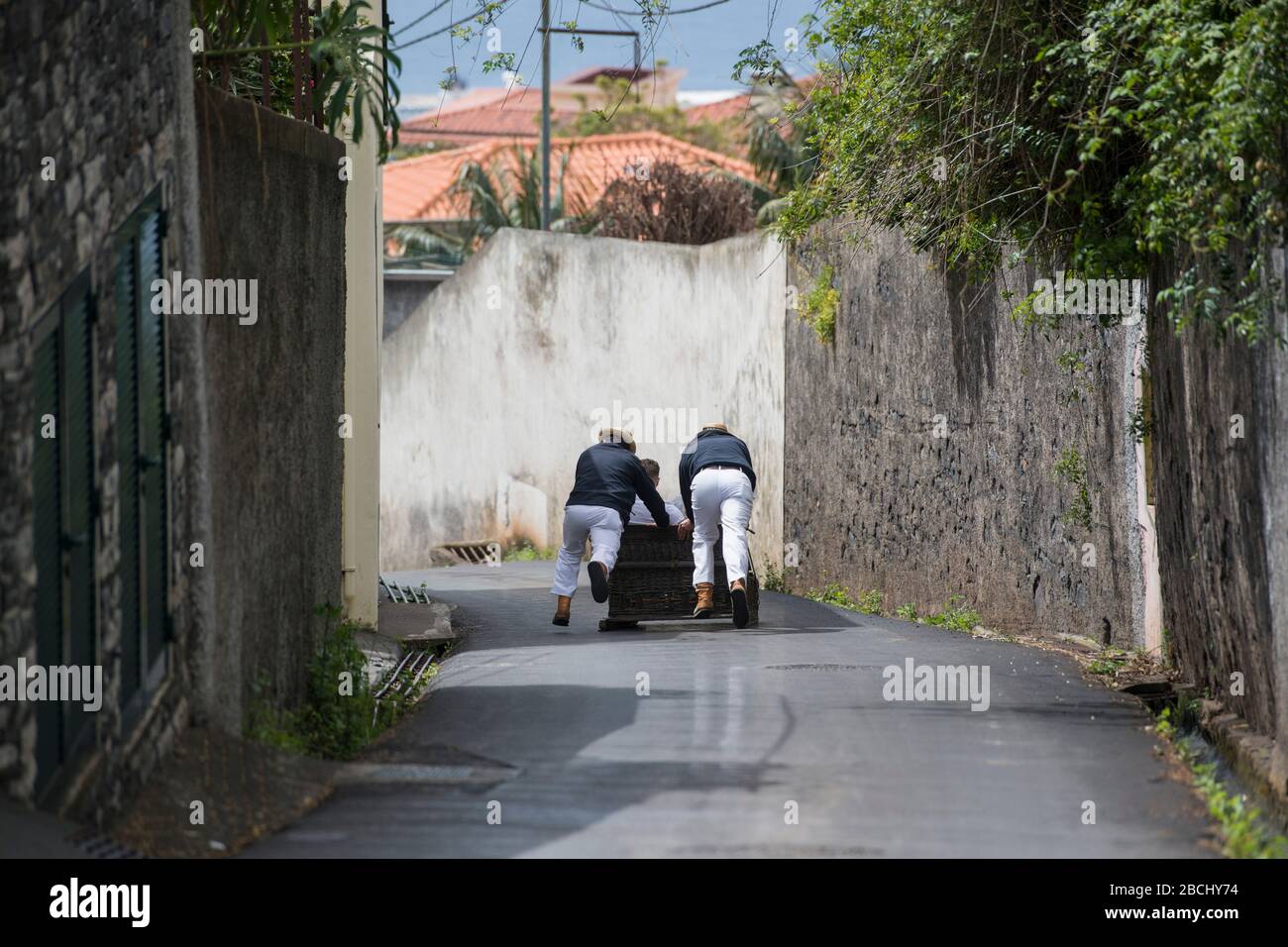 a traditional Monte sledge on the way from Monte to Funchal the city ...