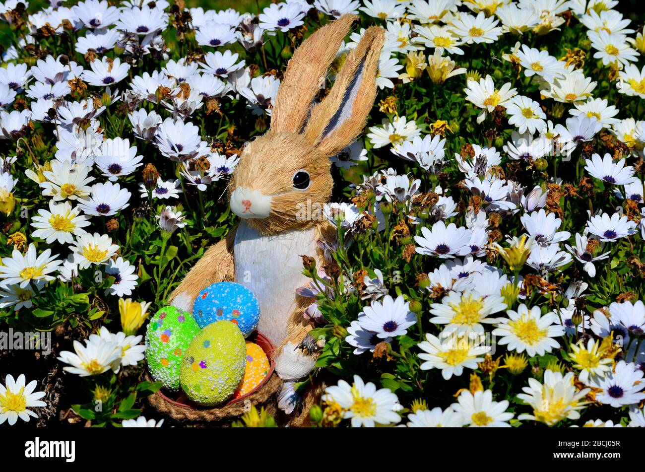 Easter bunny with Easter eggs Stock Photo - Alamy