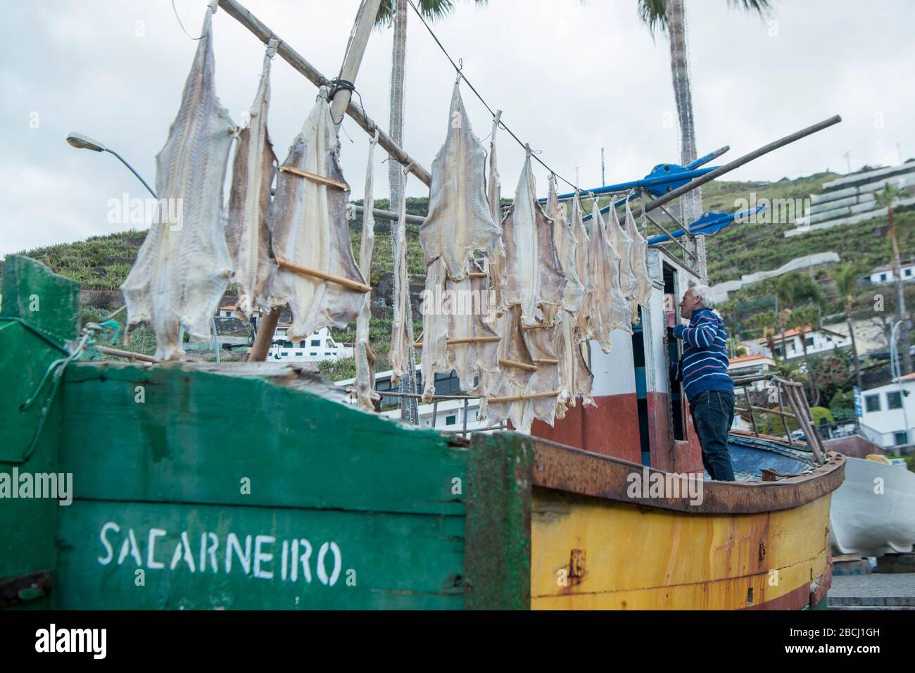 Black scabbard fish hi-res stock photography and images - Alamy