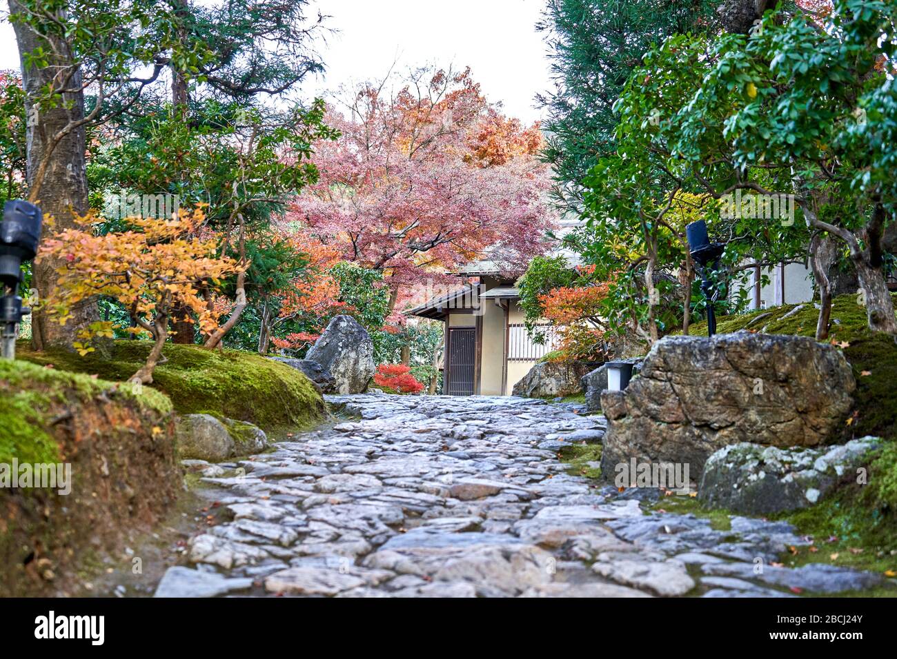Old stone pathway hi-res stock photography and images - Alamy