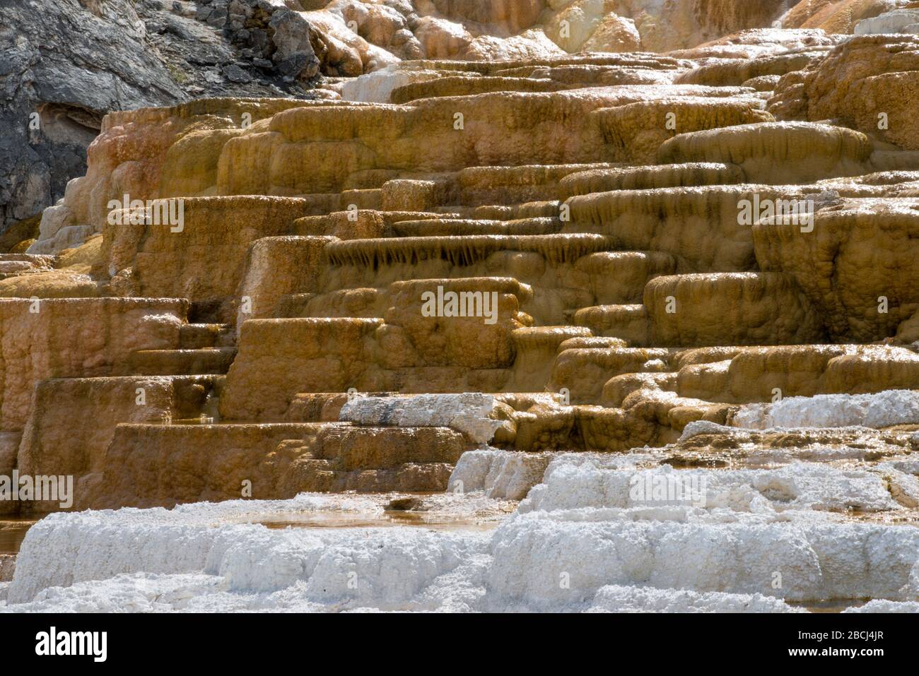 Layered travertine terraces at Mammoth Hot Springs in Yellowstone ...