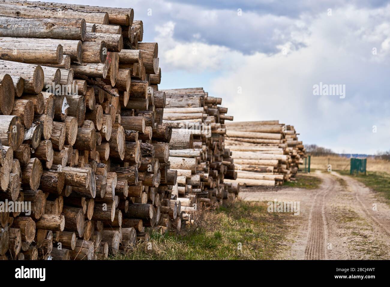 Rows of piled of logs hi-res stock photography and images - Alamy