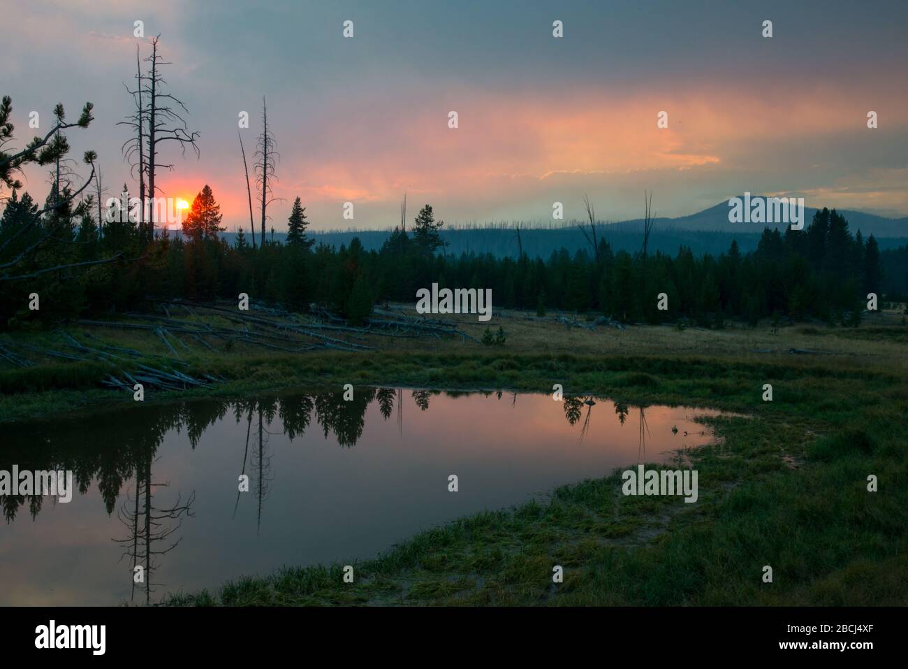 John forest national park hi-res stock photography and images - Alamy