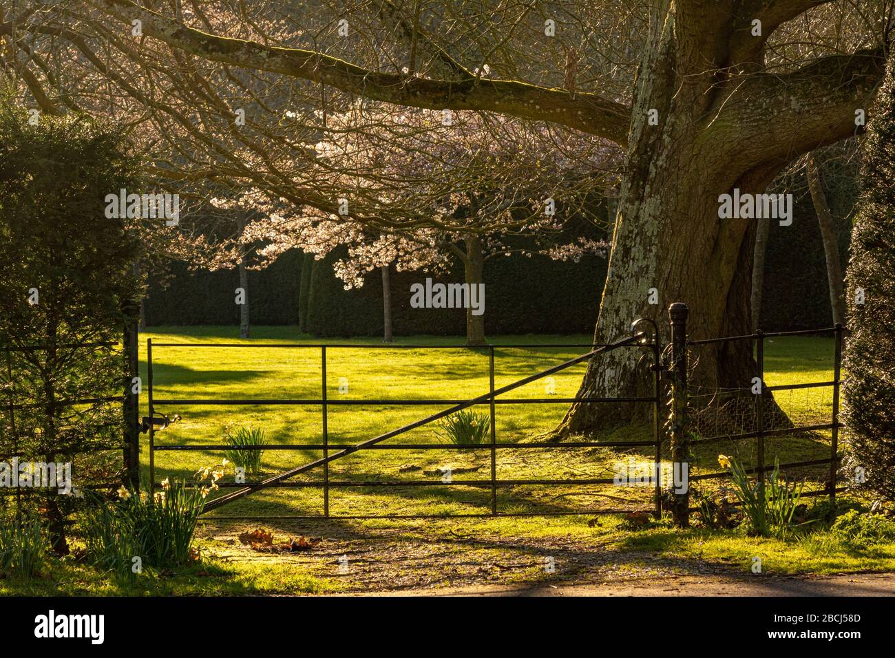A springtime scene pictured in West Sussex, southern England, UK Stock ...