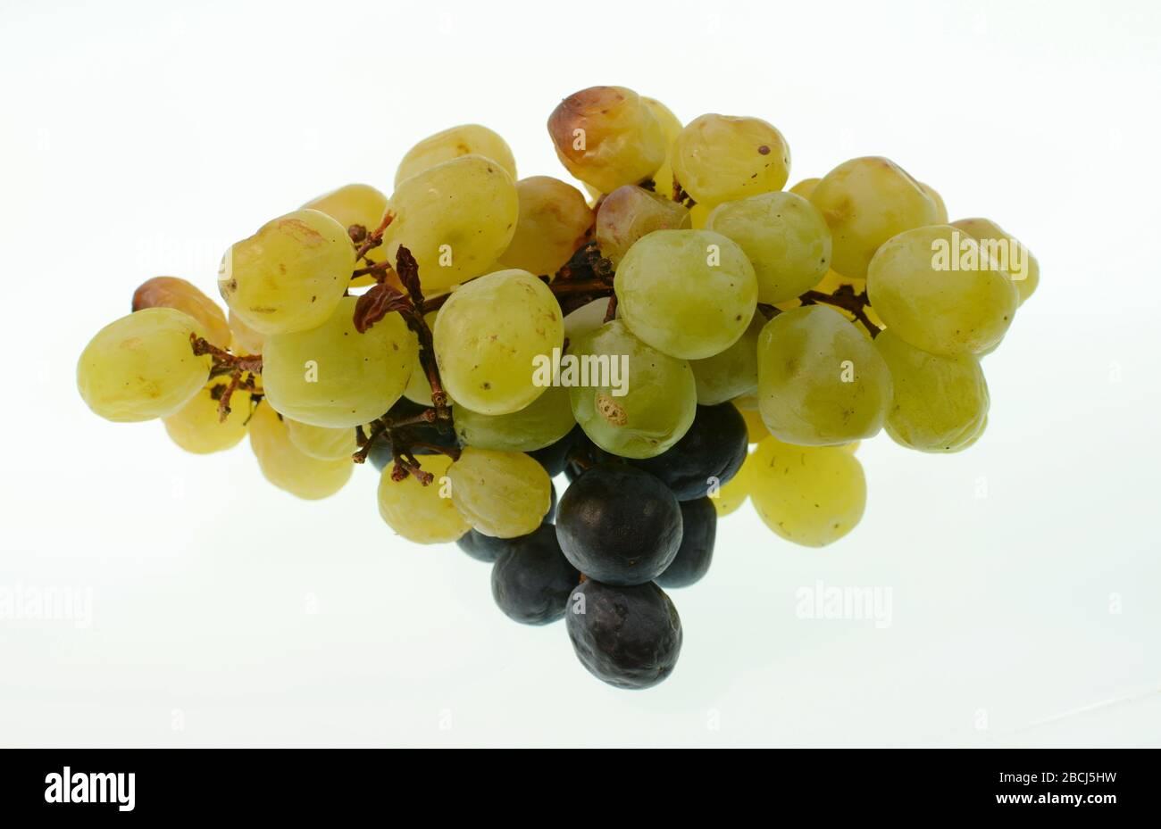 A bunch of overripe grapes isolated on white background Stock Photo - Alamy