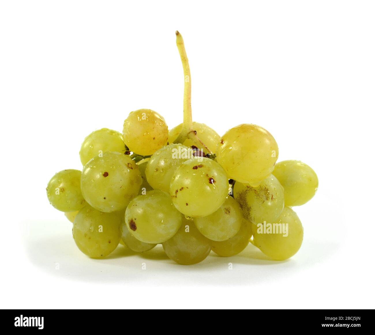 A bunch of overripe grapes isolated on white background Stock Photo - Alamy