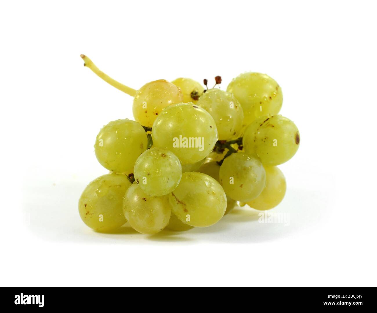 A bunch of overripe grapes isolated on white background Stock Photo - Alamy