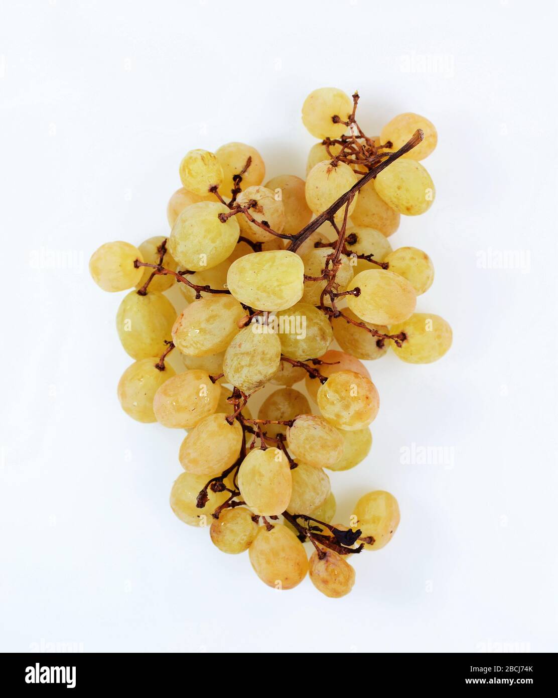 A bunch of overripe grapes isolated on white background Stock Photo - Alamy