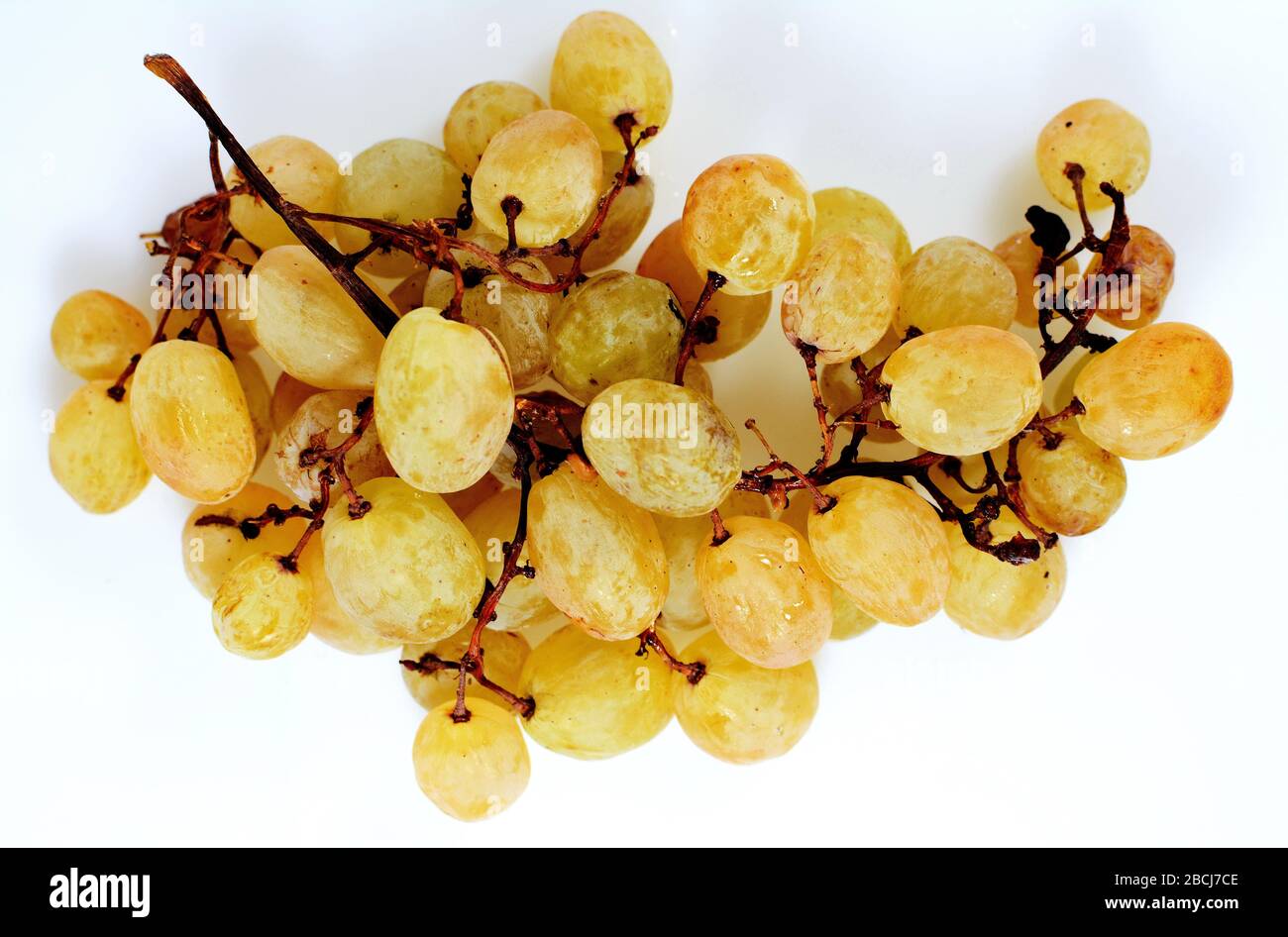 A bunch of overripe grapes isolated on white background Stock Photo - Alamy