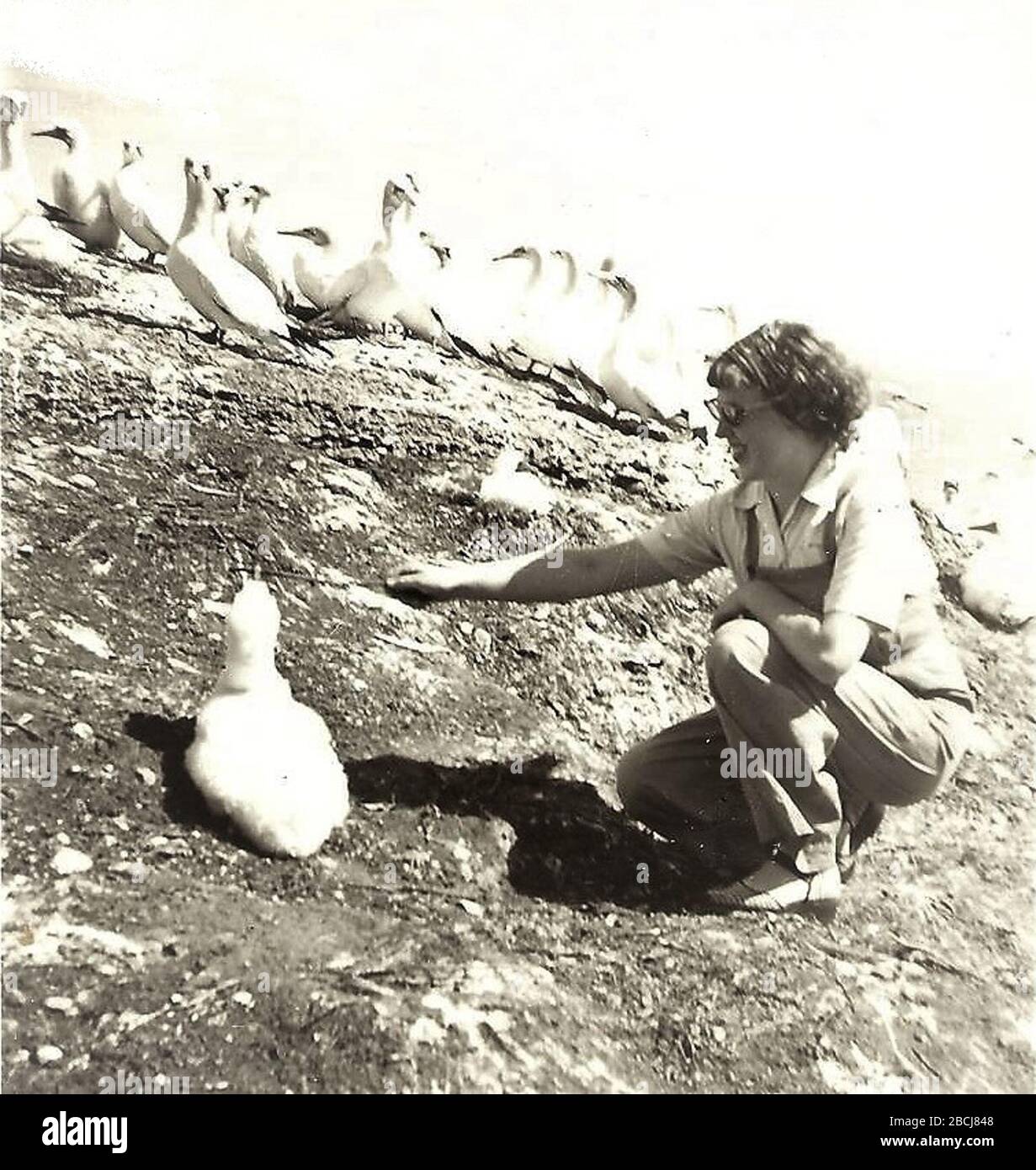 John Paget High Resolution Stock Photography and Images - Alamy