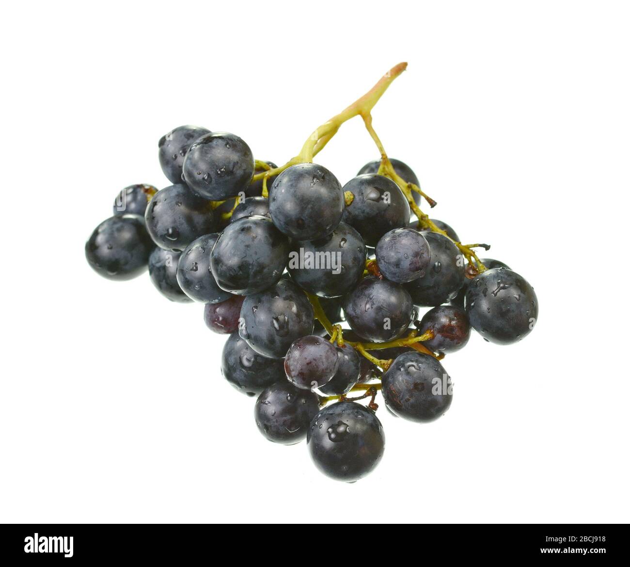 A bunch of overripe grapes isolated on white background Stock Photo - Alamy