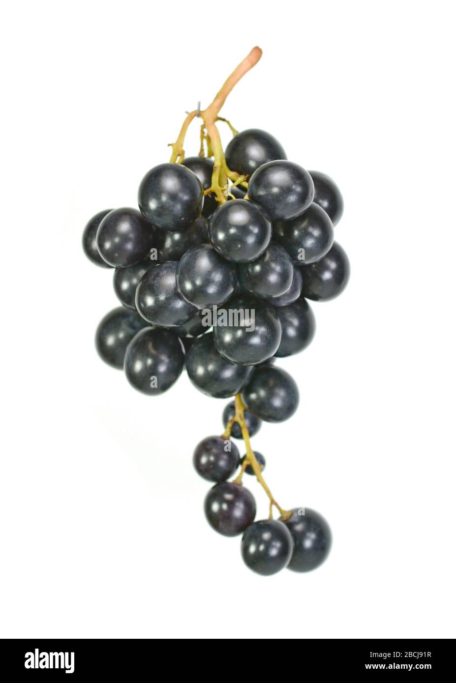 A bunch of overripe grapes isolated on white background Stock Photo - Alamy