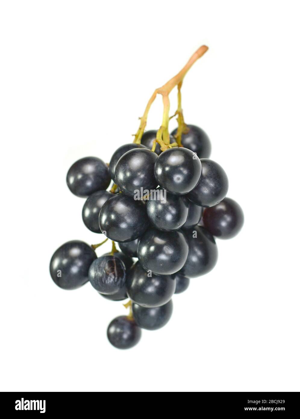 A bunch of overripe grapes isolated on white background Stock Photo - Alamy