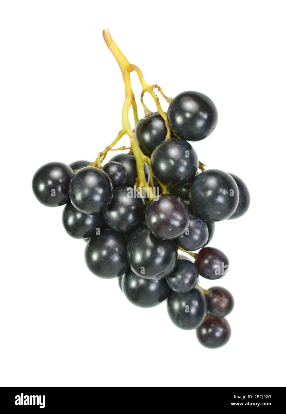 A bunch of overripe grapes isolated on white background Stock Photo - Alamy