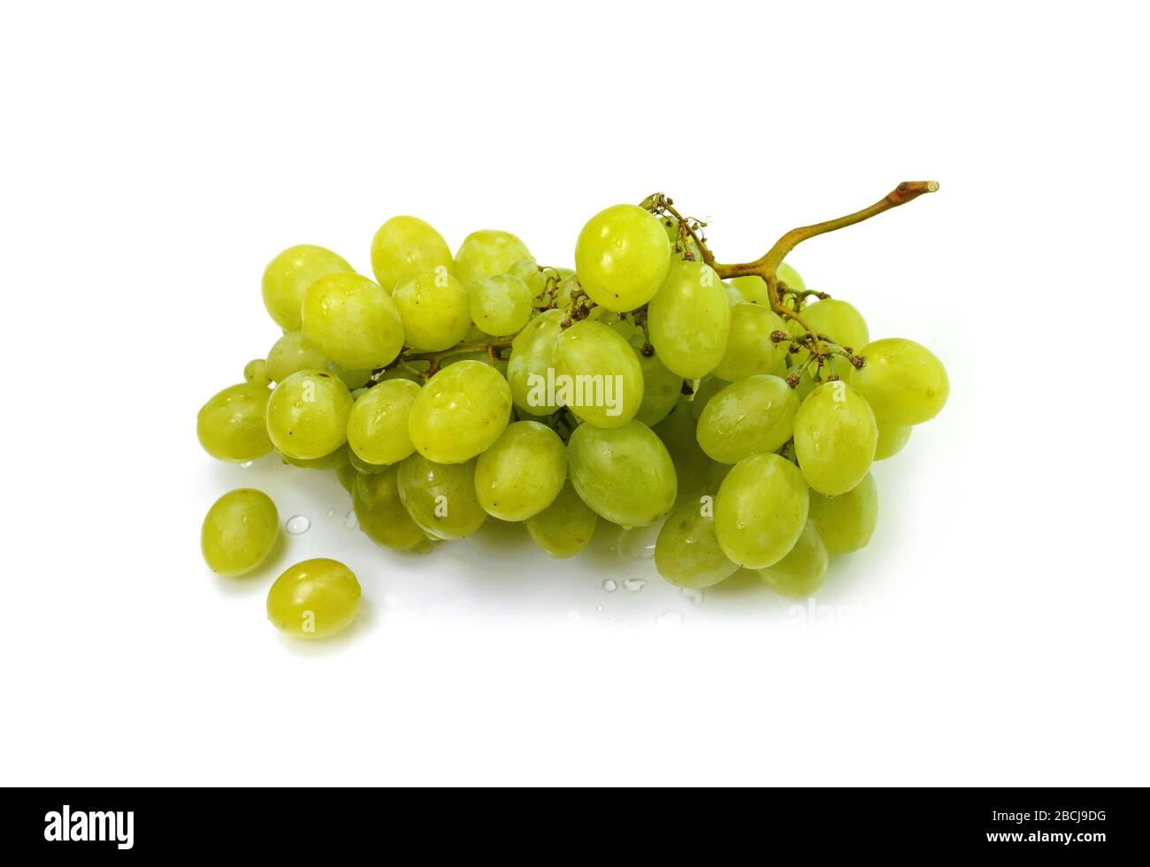 A bunch of overripe grapes isolated on white background Stock Photo - Alamy