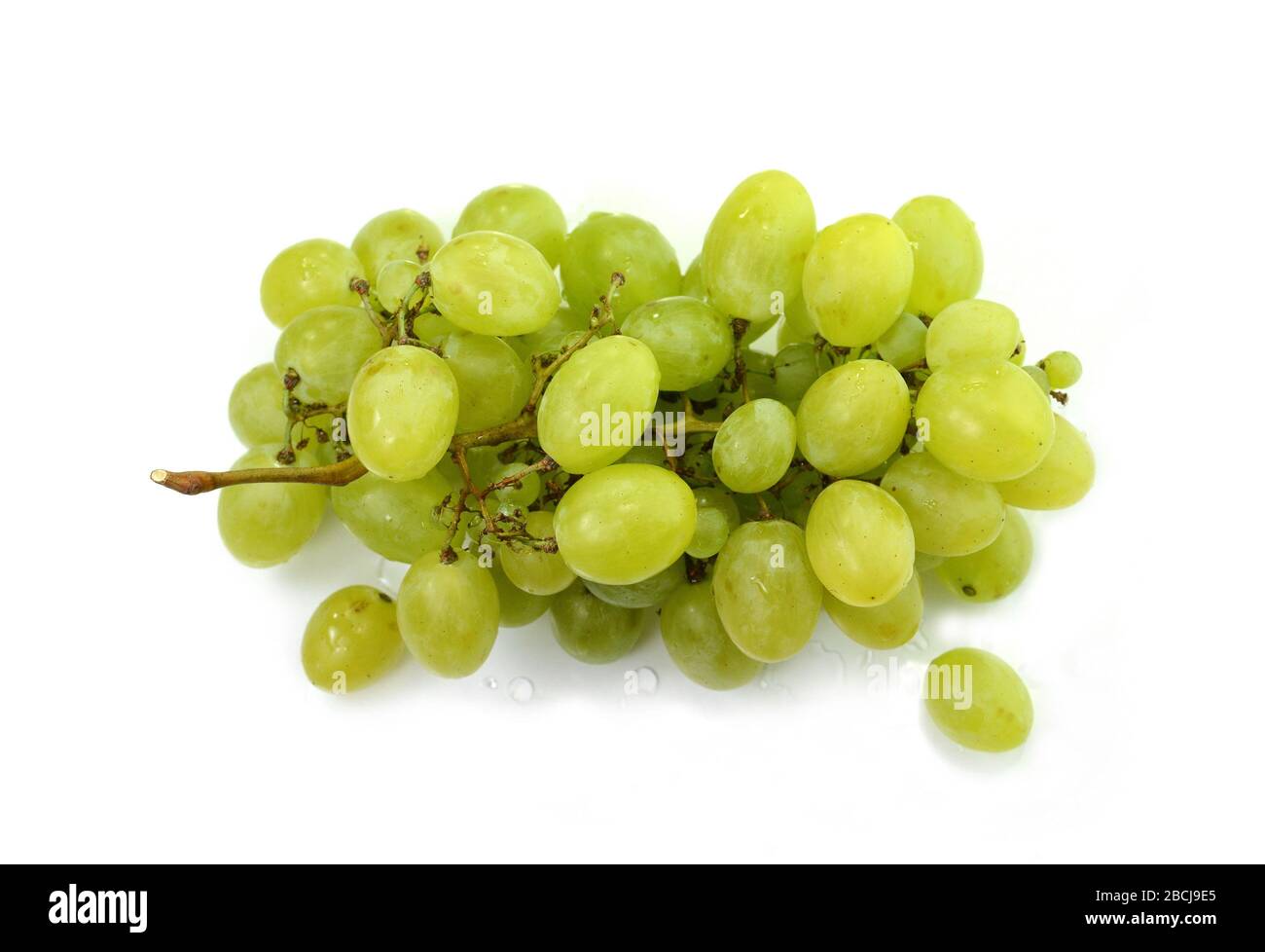A bunch of overripe grapes isolated on white background Stock Photo - Alamy